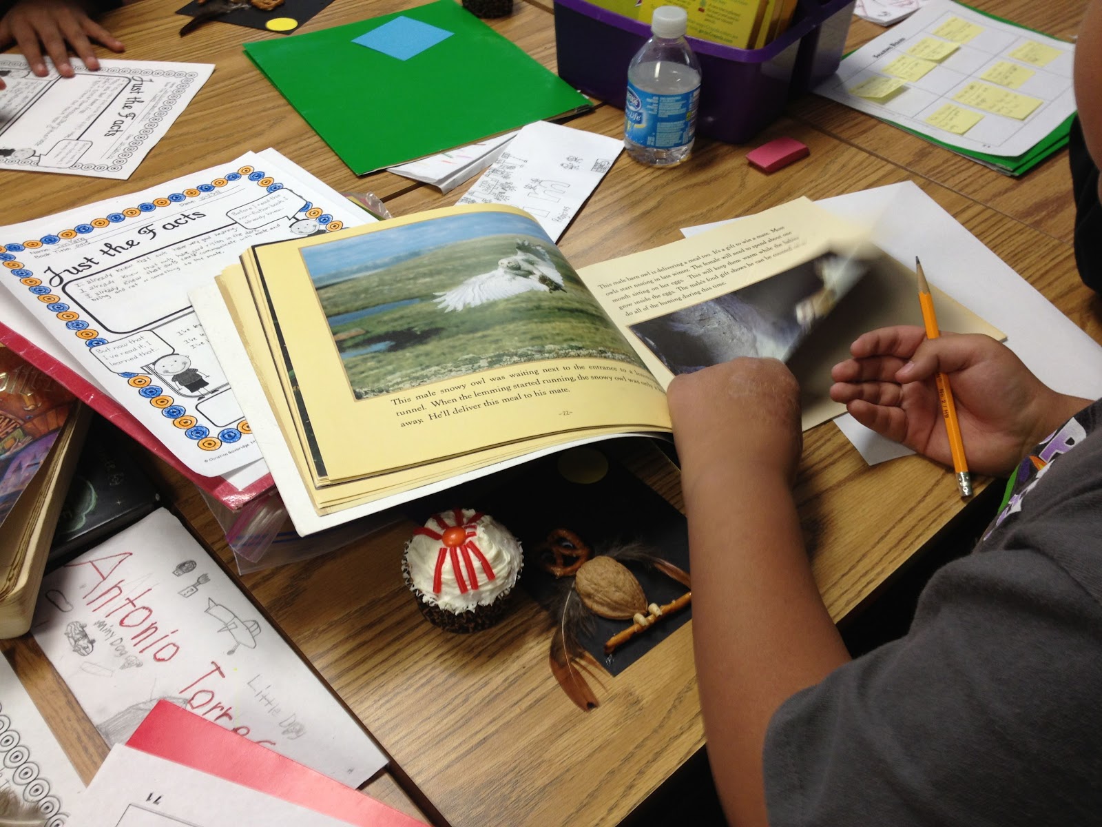 Owl Craft and Reading For Information - The Craft Of Teaching