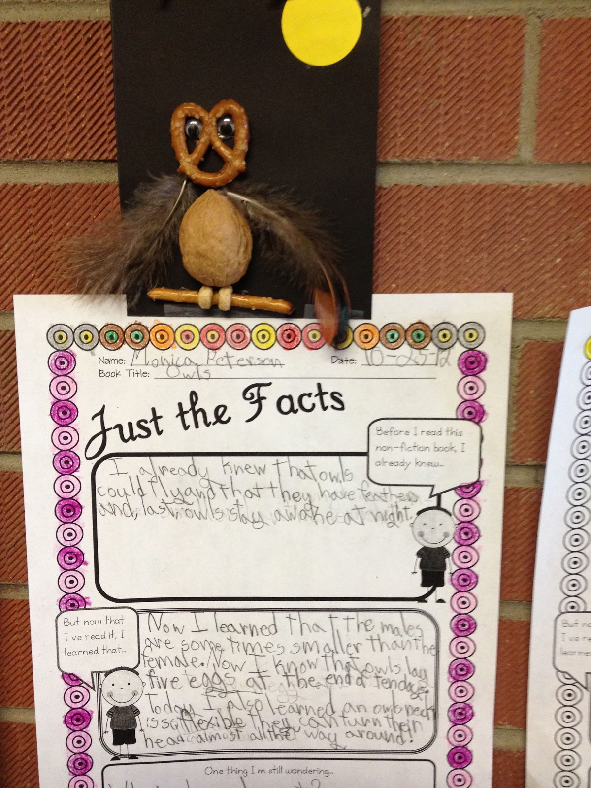Owl Craft and Reading For Information - The Craft Of Teaching