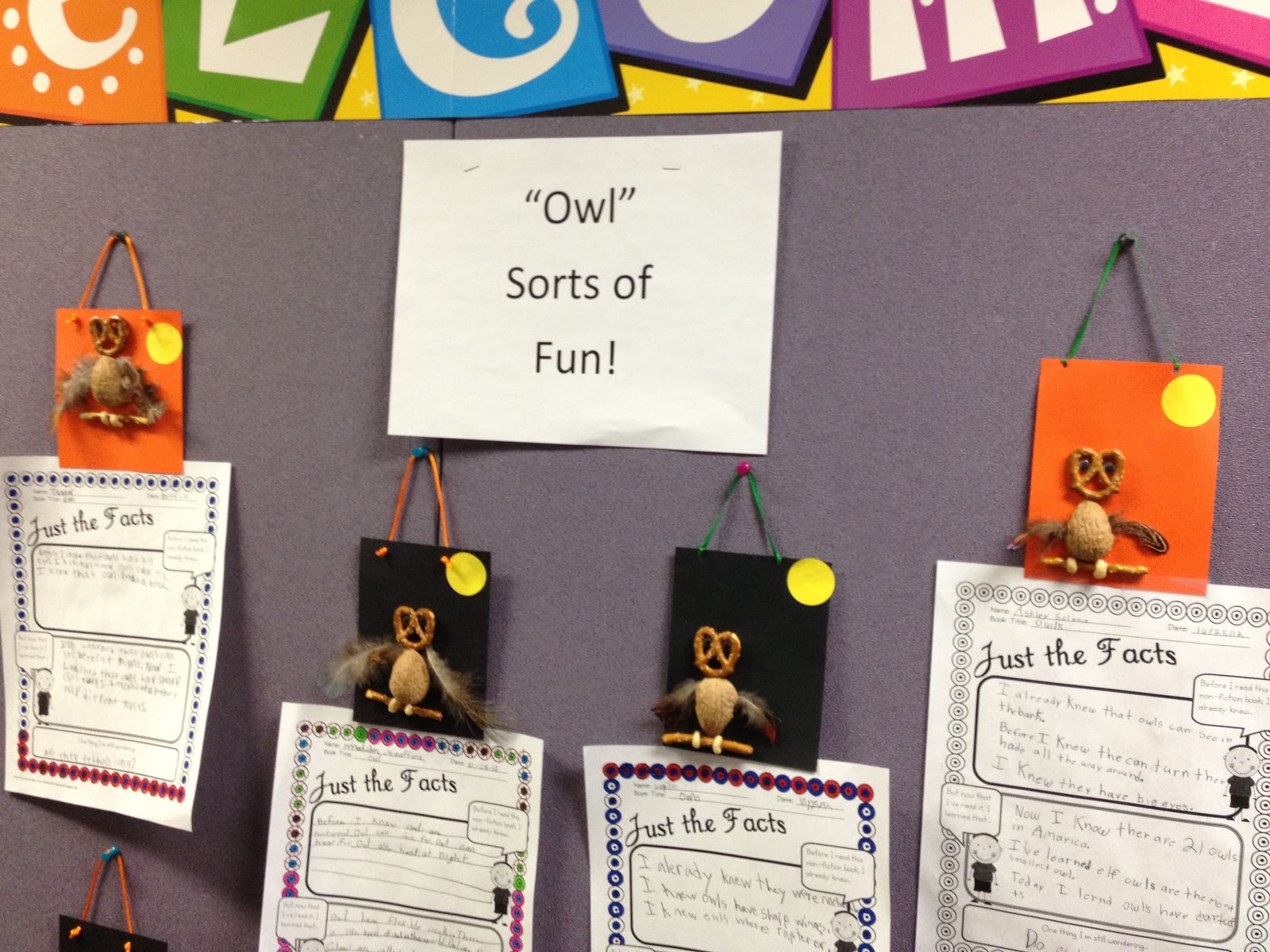 Owl Craft and Reading For Information - The Craft Of Teaching
